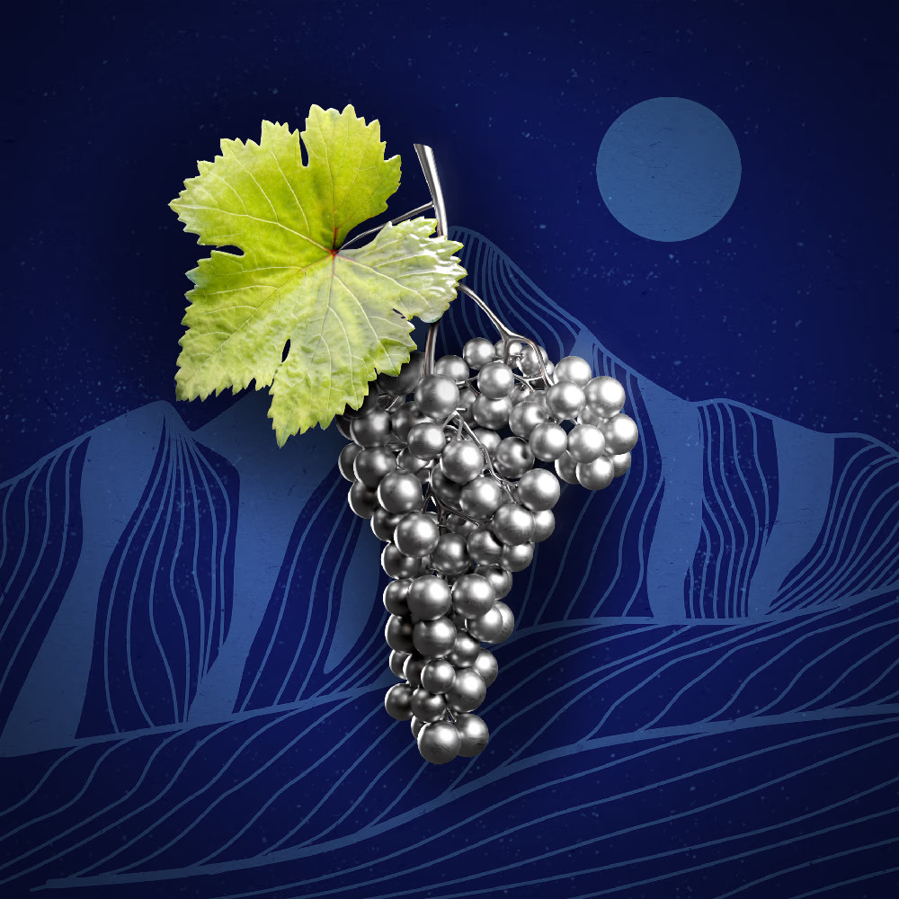 You will have the opportunity to learn about new technologies and ...